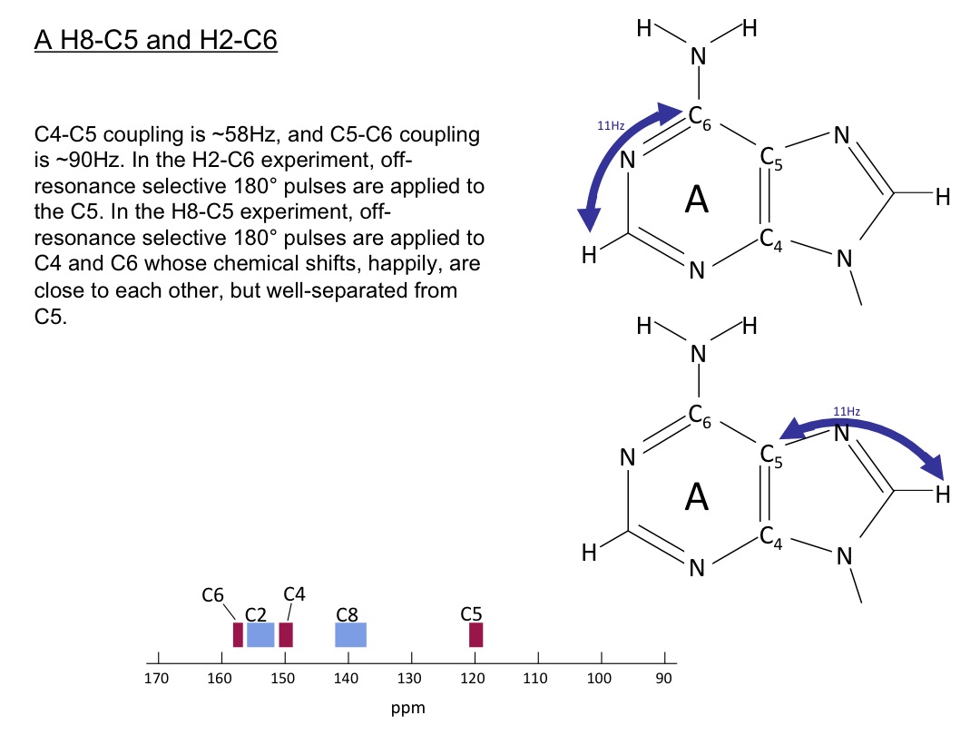 Long-Range HSQC – Bio-NMR Core