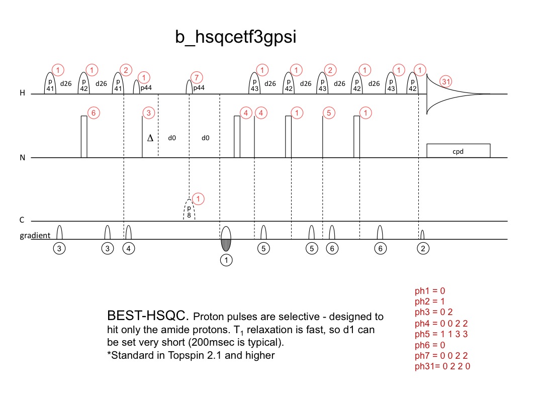 BEST HSQC – Bio-NMR Core