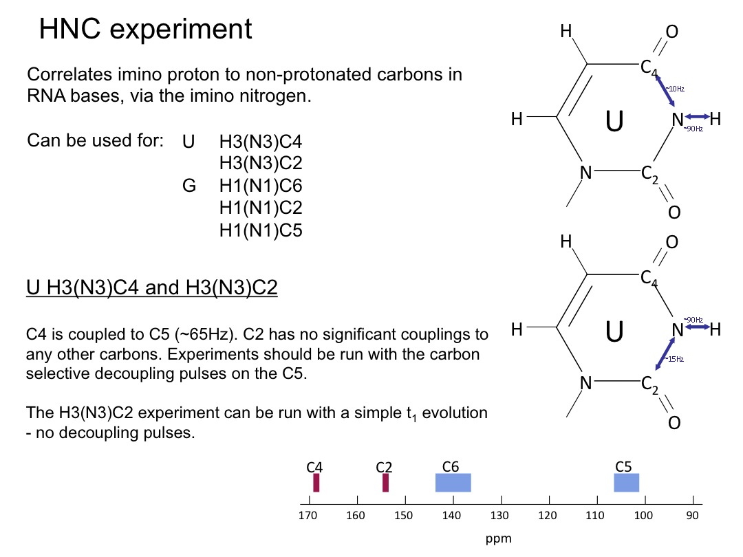 HNC – Bio-NMR Core