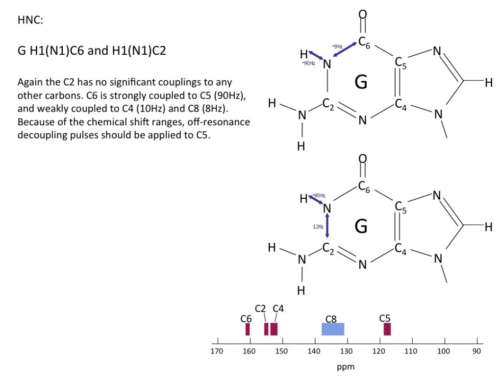 HNC – Bio-NMR Core
