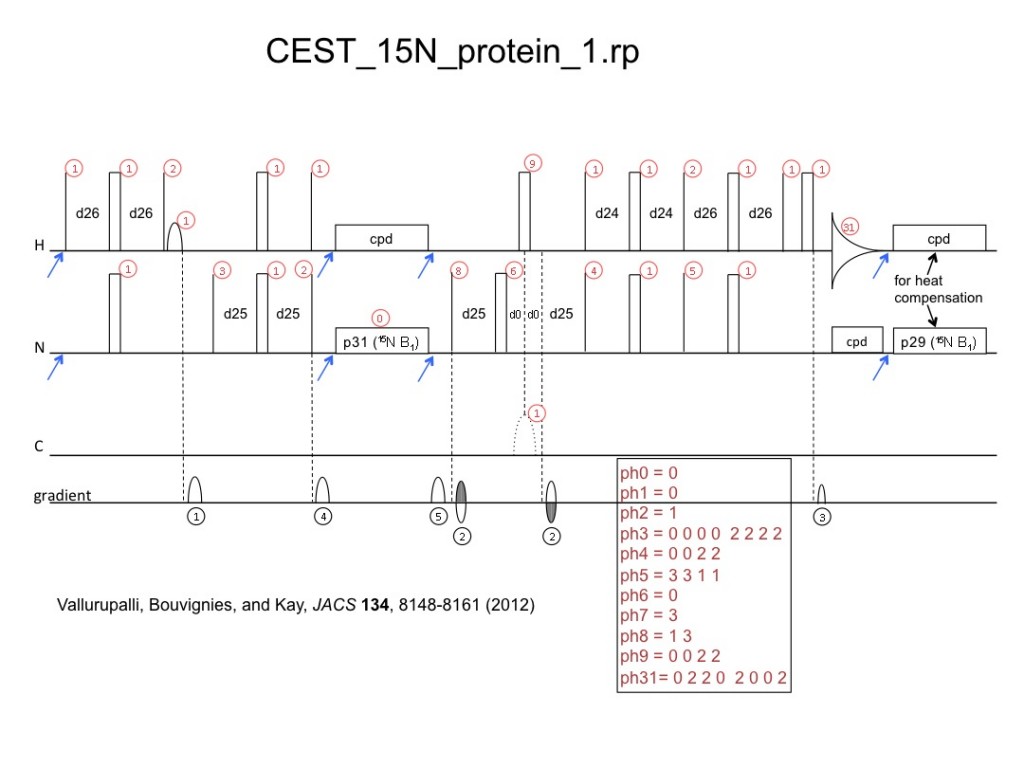 15N_CEST – Bio-NMR Core